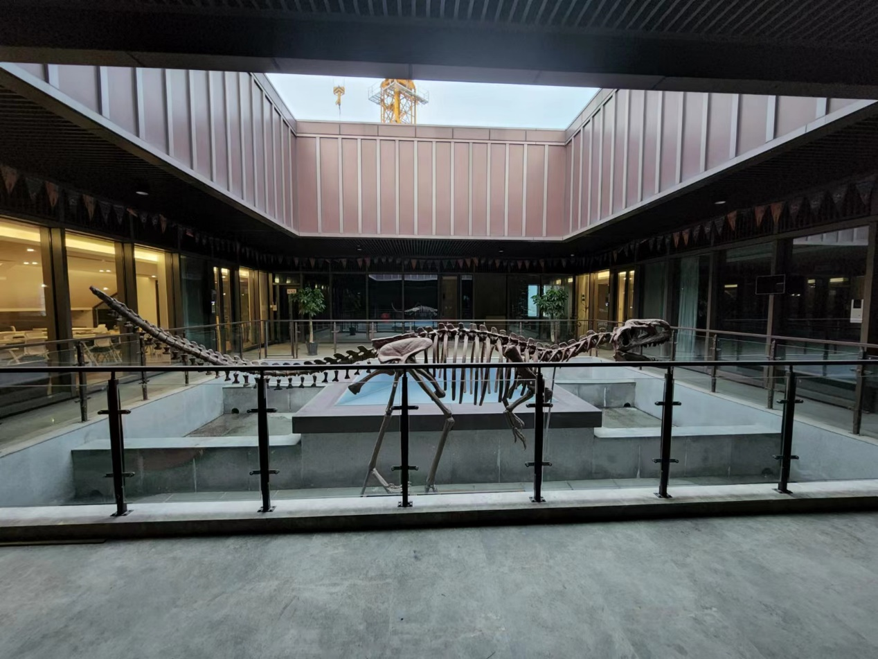 Establishment of Qingke Natural History Museum - 我的网站